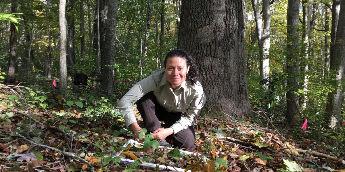 12 Jobs That Support Interior’s Unique Mission | U.S. Department of the ...