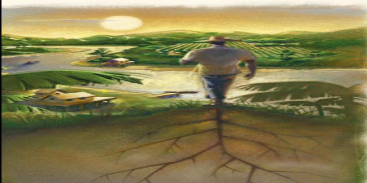 Integrating Ecosystem Services into Public and Private Sector Decision ...