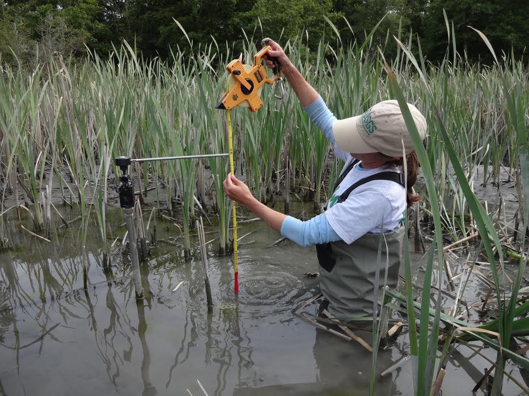 Interior Department Celebrates Ocean Month | U.S. Department of the ...
