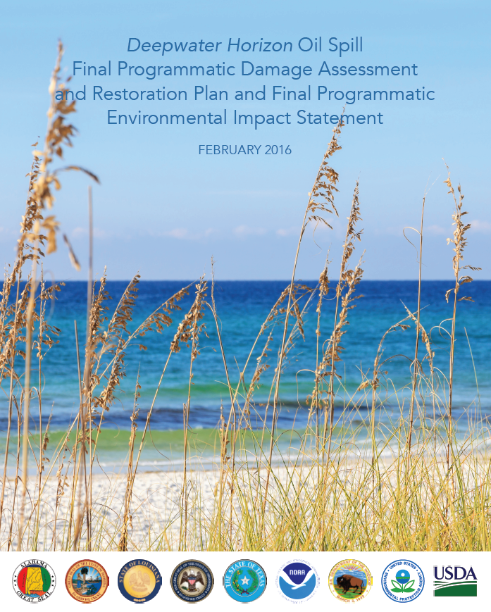 Historic NRDAR Settlement Reached for Deepwater Horizon Spill | U.S ...