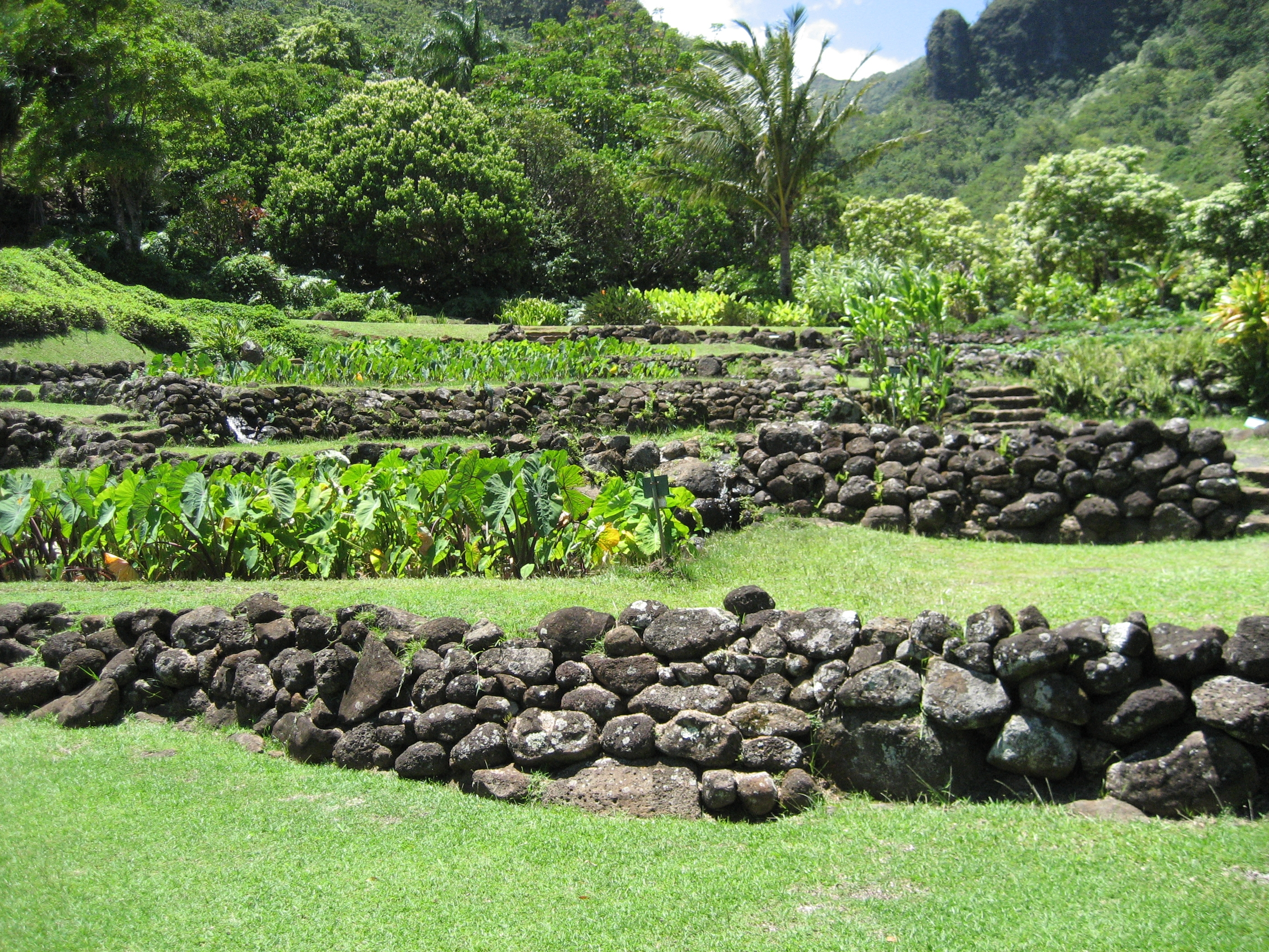 Office of Native Hawaiian Relations Releases Native Hawaiian Community ...