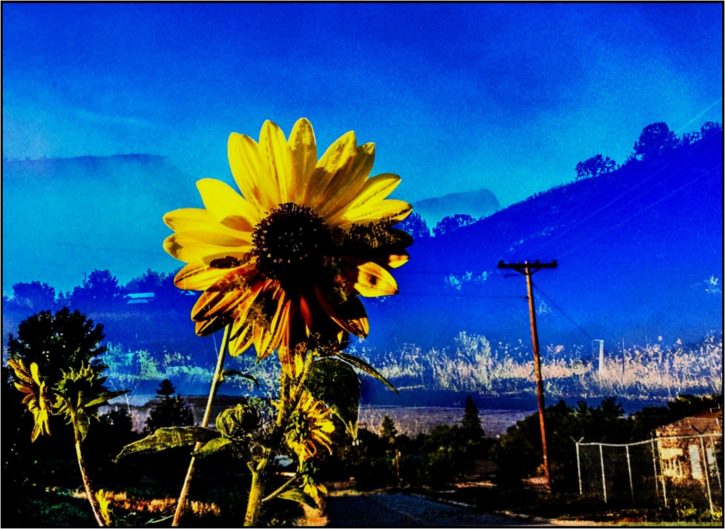 IACB Features Karma Henry, Jeremy Johnson, and David Velarde Jr. in a ...