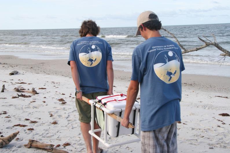 FWS and NPS Relocate Sea Turtle Nests | U.S. Department of the Interior