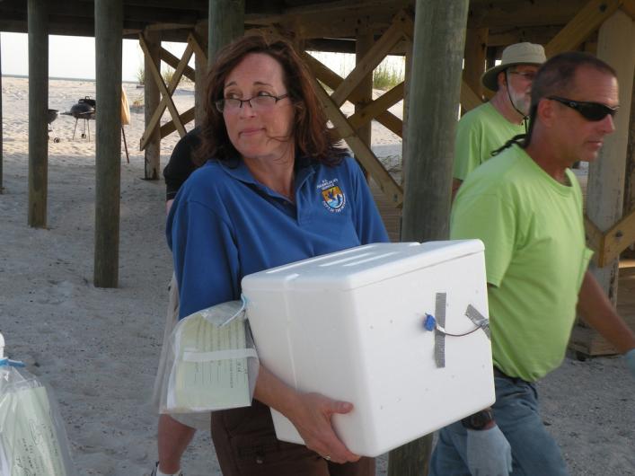 FWS and NPS Relocate Sea Turtle Nests | U.S. Department of the Interior