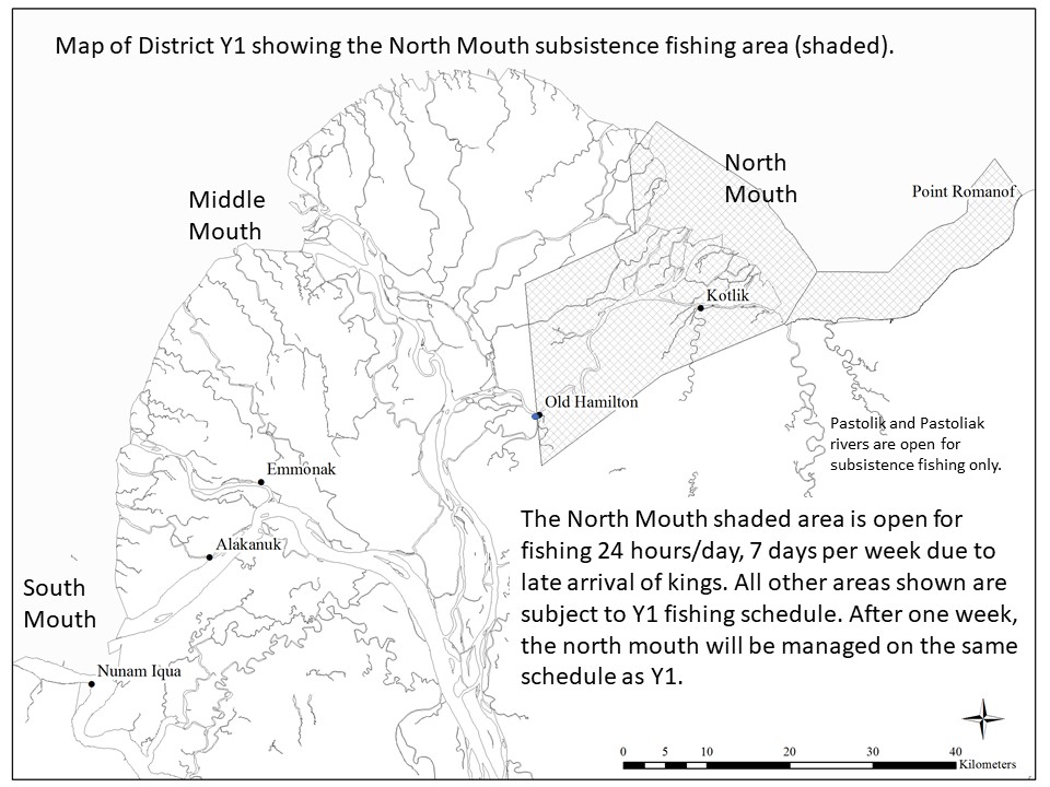 2019 Yukon River Salmon Fishery News Release # 4 Coastal District and ...