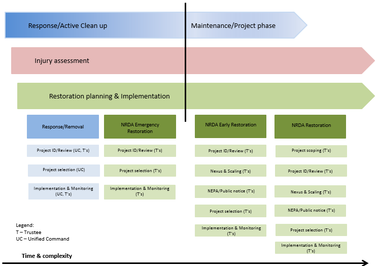 Trustees Responsibilities during Response | U.S. Department of the Interior
