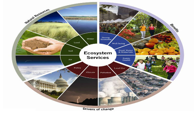 EnviroAtlas: Connecting Ecosystems, People, and Well-being | U.S ...